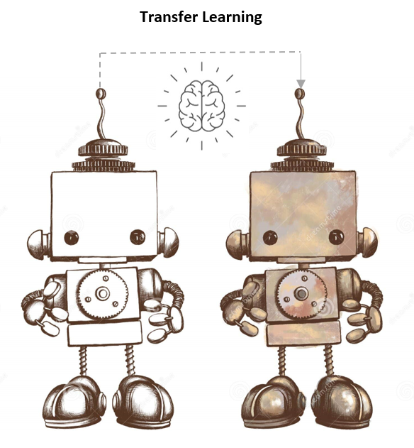 Transfer Learning: Feature Extraction and Fine tuning | by Alessandro ...