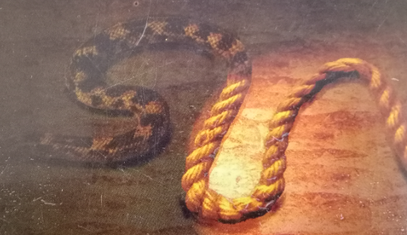 The Rope Snake Publications