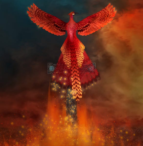 Phoenix Rising from the Trump Ashes | by David Steinman | Apr, 2025 ...