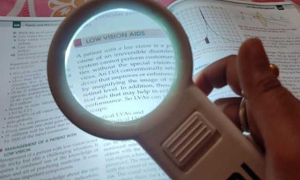 Beyond Glasses: Exploring Wearable Low Vision Devices | by ...