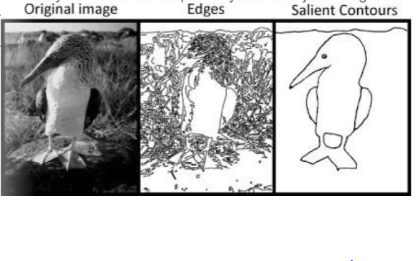 Contours in Images. Making computer vision easy with Monk… | by Akula ...