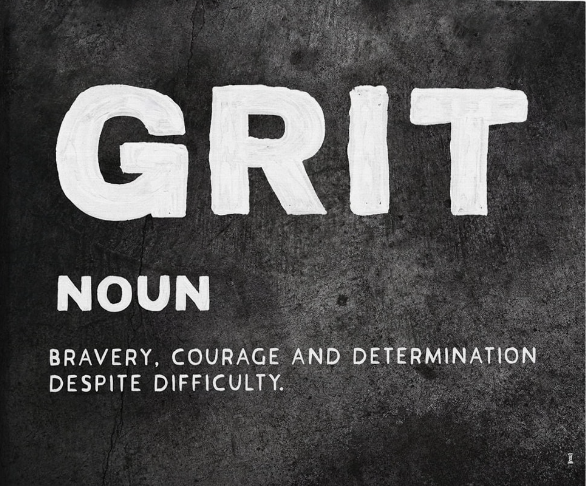 The Resilience Factor: Why Grit Matters and How to Get More of It | by ...