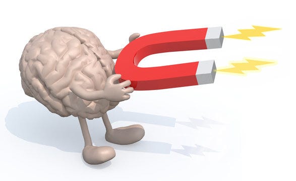 The Law of Attraction: Understanding the Science of Positive Thinking ...