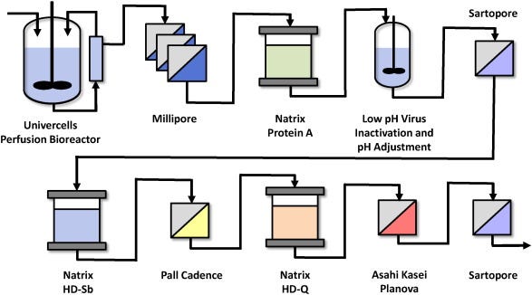 A Single-use Strategy to Enable Manufacturing of Affordable Biologics ...