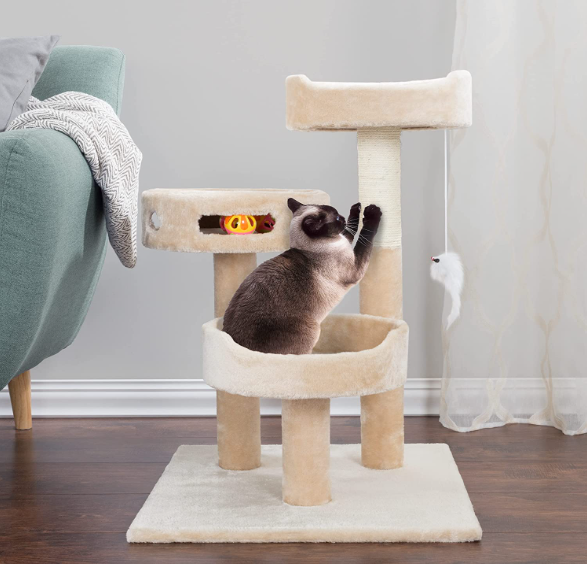 Unleash Your Cat’s Wild Side with These 7 Cactus Cat Tree | by Decor ...