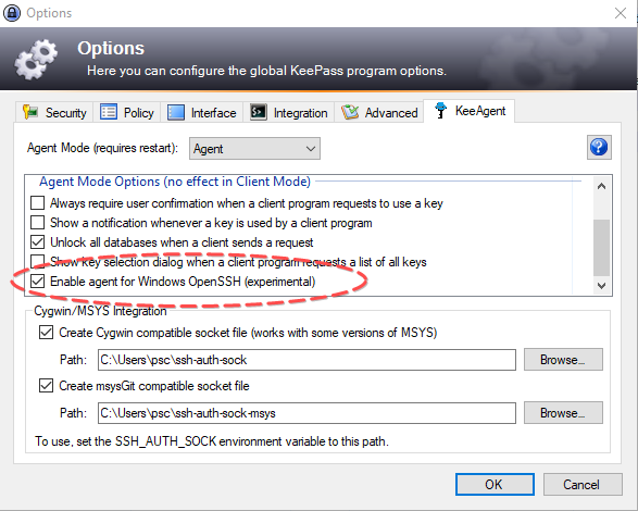 Use an ssh-agent in WSL with your ssh setup from windows 10 | by Philipp Scheit | Medium