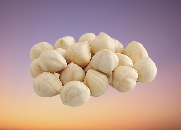BLANCHED HAZELNUT - Hazelnut Store - Medium