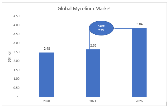 What is Mycelium and What is its Expected Market Value in Coming Years ...