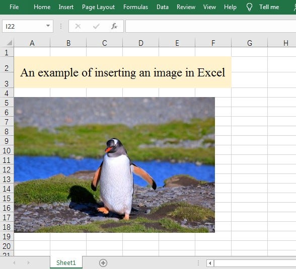 Java/ Insert and Extract Image in Excel | by NateBennett | Medium
