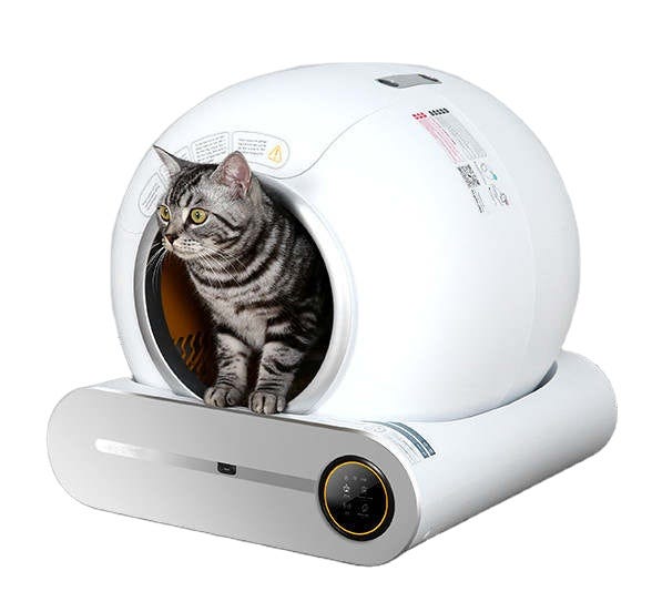 Integrating Automatic Cat Boxes with Smart Home Devices | by Kipenzi ...