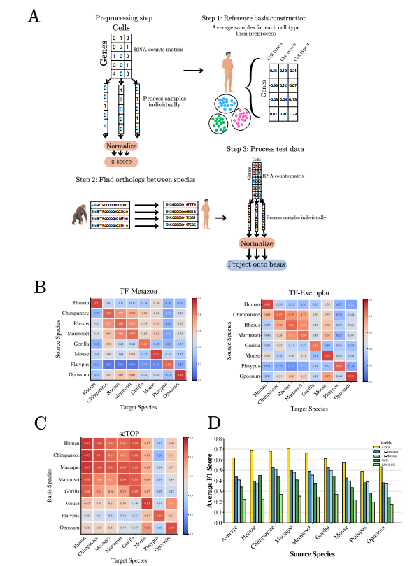 Simple, Linear Methods Outperform Single-Cell Foundation Models: | by ...