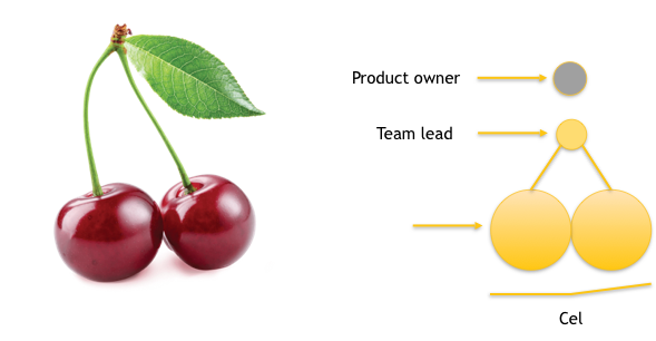 Cherry Picking. A story about how we are building the… | by Anneke ...