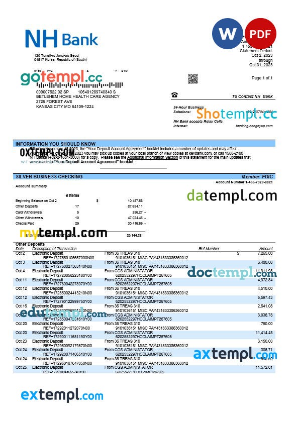 NH Bank firm account statement Word and PDF template download template ...