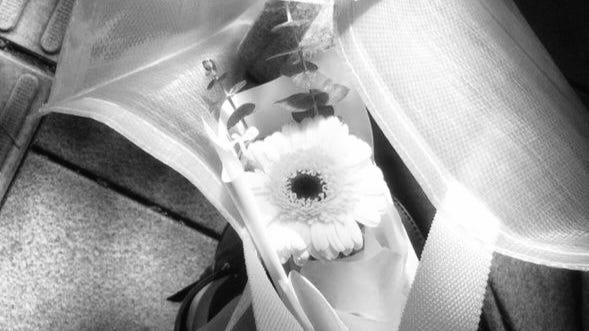 The Wrong Flower. It’s not about the flower on blame but… | by Askara D. | May, 2025 | Medium