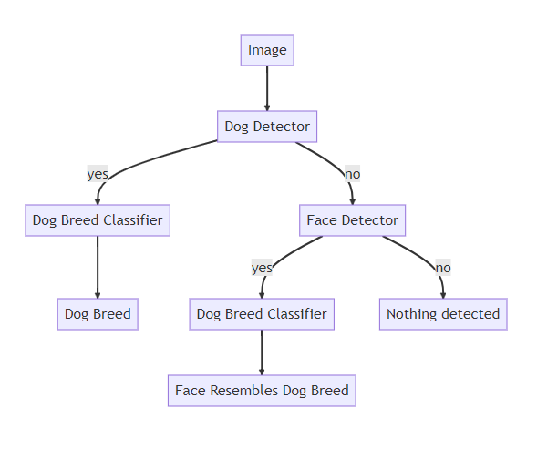 Dog Breed Prediction Classifier. This is a capstone project of Udacity’s… | by cl | Medium