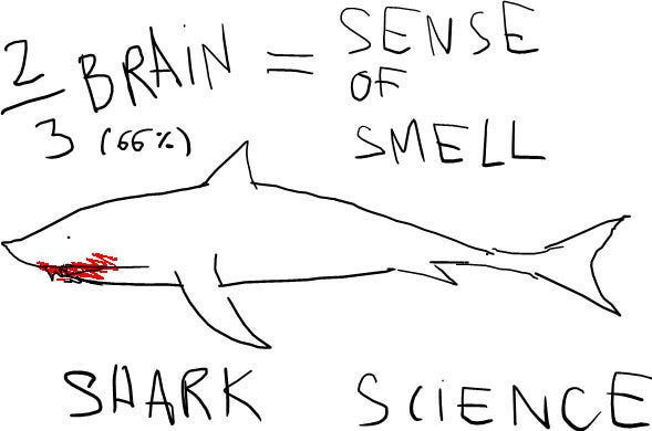 shark science | by Comic Strip Blogger | Medium