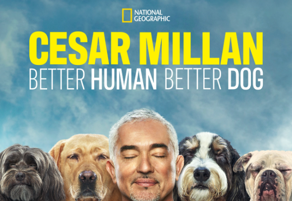 Cesar Millan: Better Human, Better Dog Season 5 Full Episode Free Watch ...