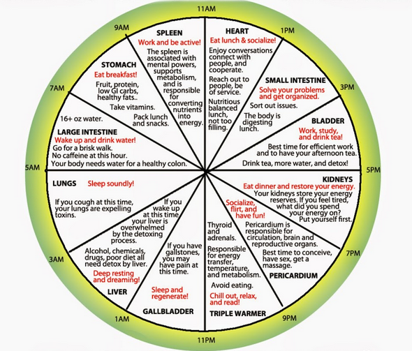 BIO-CLOCK. Introduction | by Dr Ratneshwar Prasad Sinha | Medium