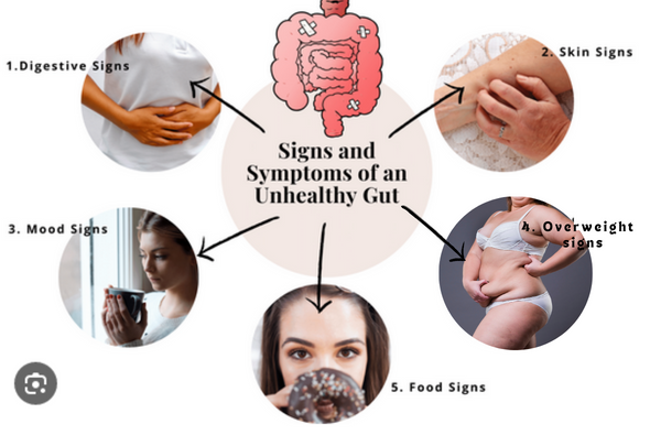 Symptoms of Poor Gut Health. Do you often feel bloated, gassy, or… | by ...
