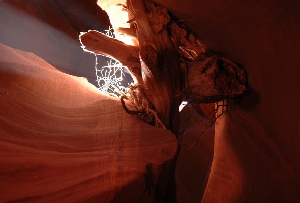Day Twenty — The Dark Night of the Soul | by Francis Rosenfeld ...