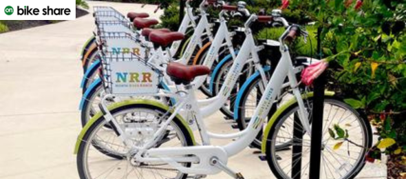 Exploring the Pedal-Powered Paradise: Bike-Friendly Hotels and Bicycle ...