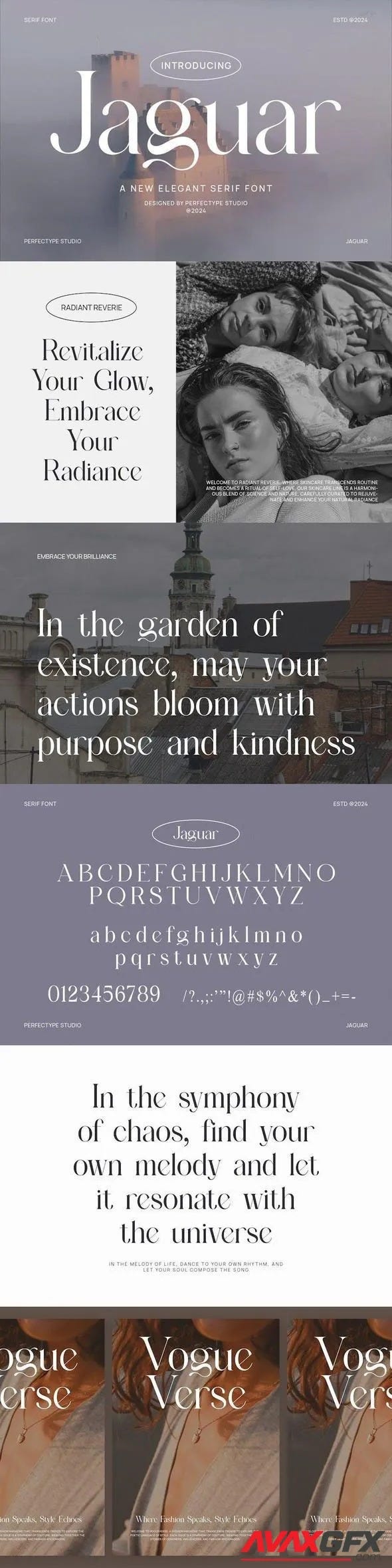 Jaguar Elegant Serif Font Typeface - Herogfxcom - Medium