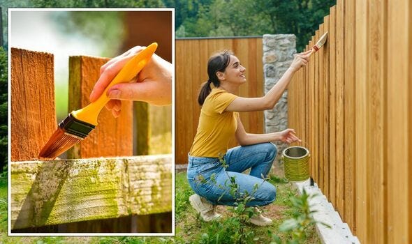 Common Mistakes to Avoid When Painting Your Fence | by Emma Watson | Medium
