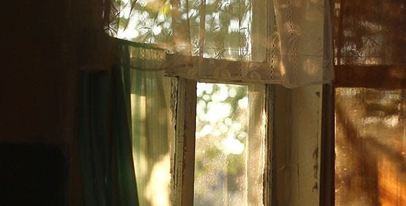 cleaning up the mess but knowing deep down, I left the window open | by ...