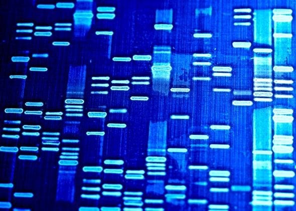 Benchling —Digital Experiment Overview | by Adrià Mir Muntades | Medium