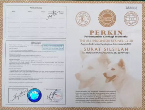 Cara Membuat Sertifikat Stambum dan Biayanya | by Riska Putri | Medium