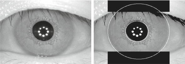 Iris Recognition: Where the Eye Becomes the Key | by Everton Gomede ...
