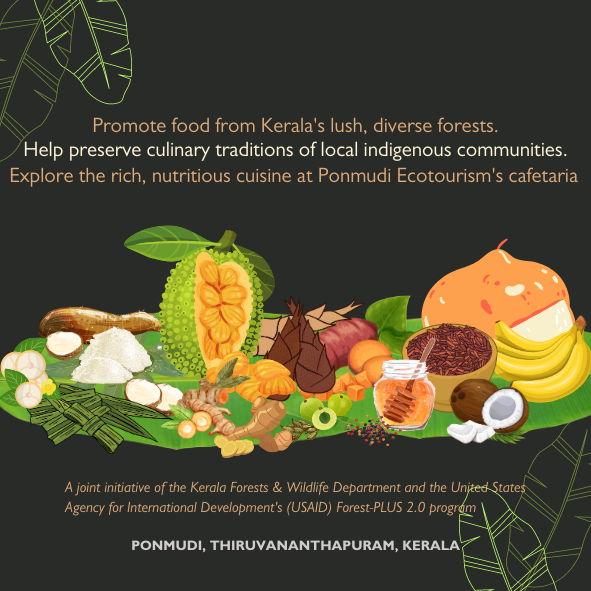 Why USAID’s Forest-PLUS 2.0 program is promoting ‘Food From The Forest ...