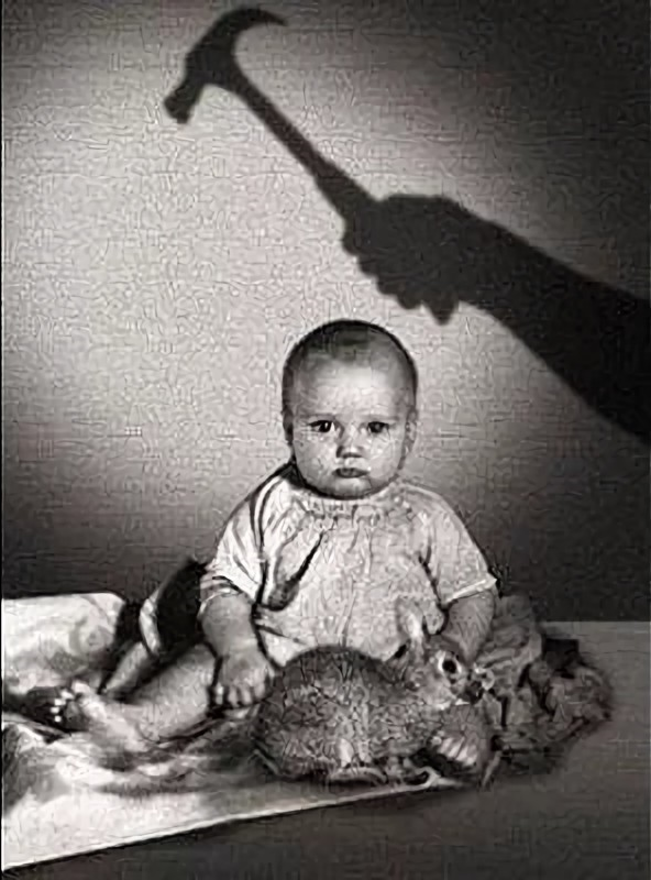 Scientific experiments on an infant — the dark side of psychology | by ...