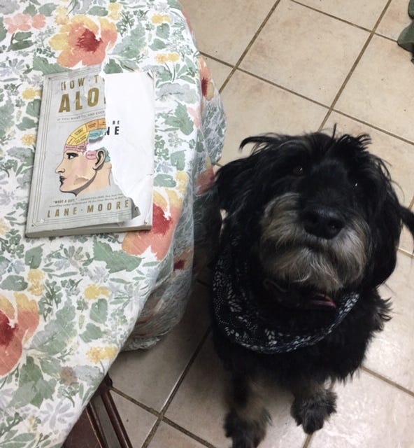 Book Review By a Fog Hound. Book Review by a Fog Hound | by Brooke ...
