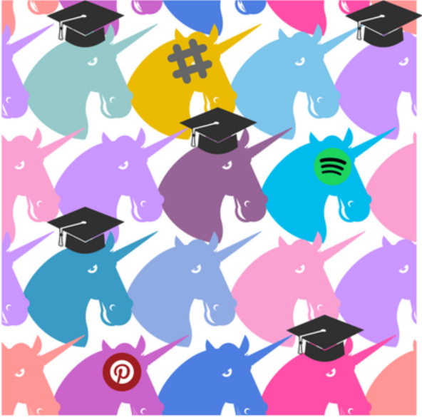 What we can learn from the successes and failures of Unicorns | by ...