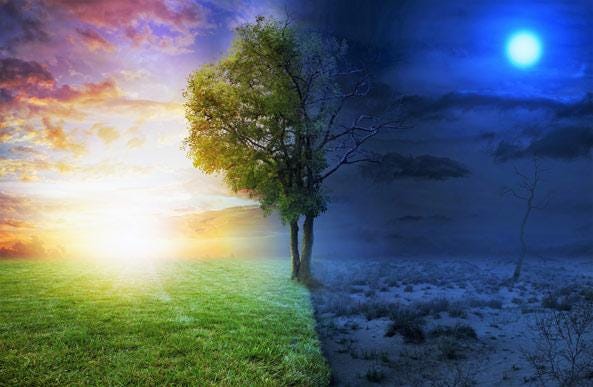 Life Is a Duality. Life is a duality. Most if not… | by Spitballin with ...
