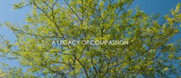 What’s the Story Behind Hamza Foundation’s Inspiring Journey? | by ...