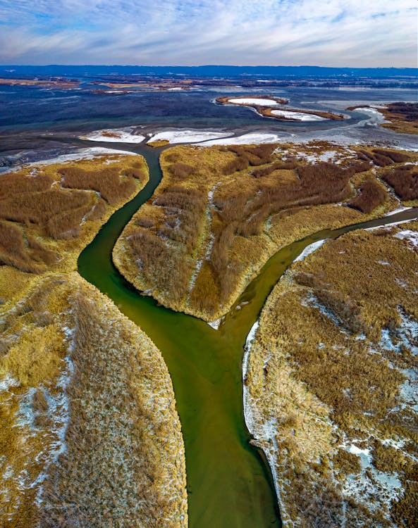 The river made love with the ocean today | by Dion Groove | Jun, 2025 ...