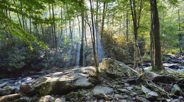 The Journey to Here — How I landed in Customer Happiness | by Chelsea ...