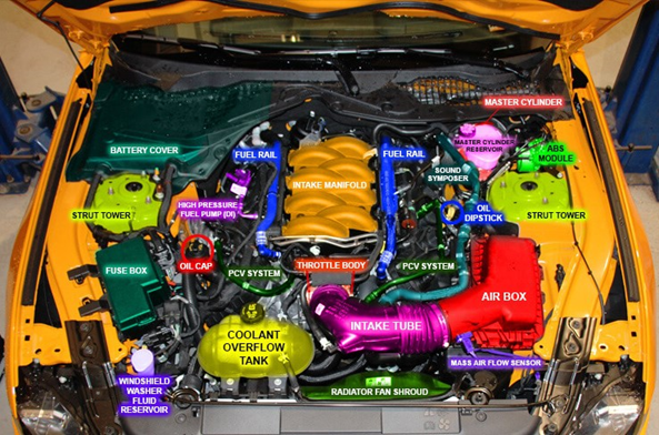 How To Gain Access The Underside Hood Of Your Car When It’s Stuck | by ...