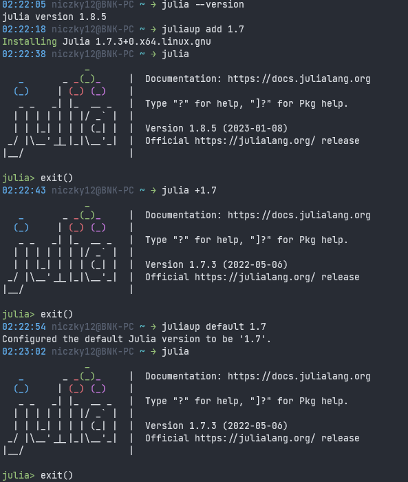 How to install Julia in 2023. Download and install Julia on Windows… | by Bence Komarniczky ...