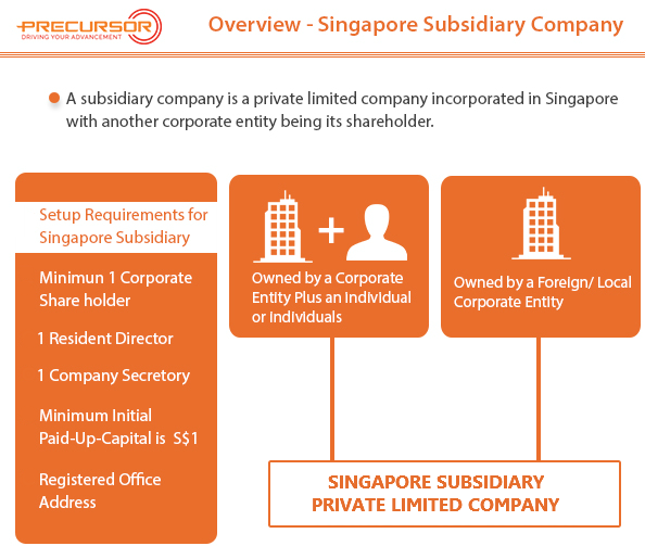 How to Register Singapore Subsidiary Company | by alex kim | Medium