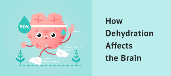 EFFECTS OF DEHYDRATION ON BRAIN. Introduction | by Mahnoor Hameed | Medium