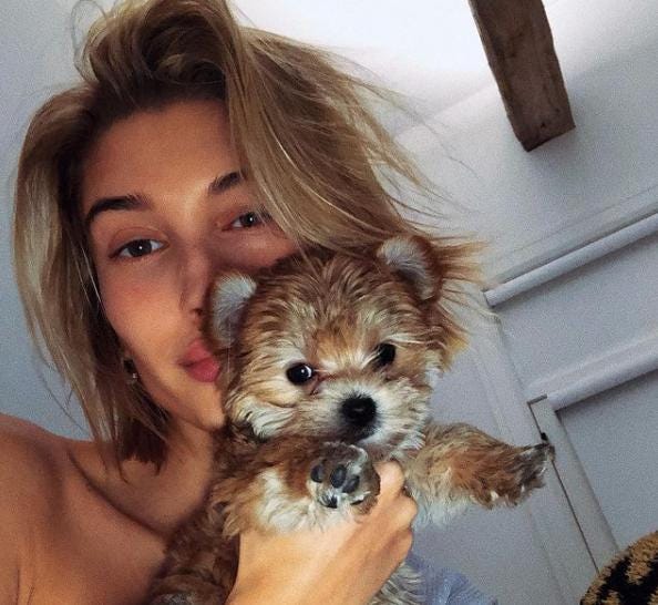 Fur-Famous: Top 9 Celebrity Pets and Their Humans | by ExpressVet ...