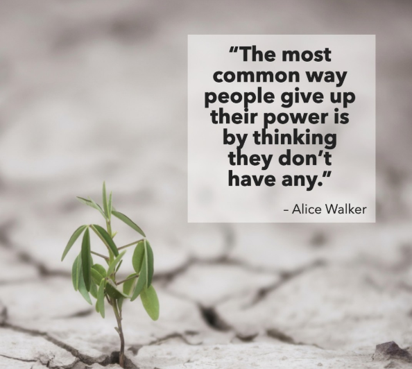 “The most common way people give up their power is by thinking they don ...
