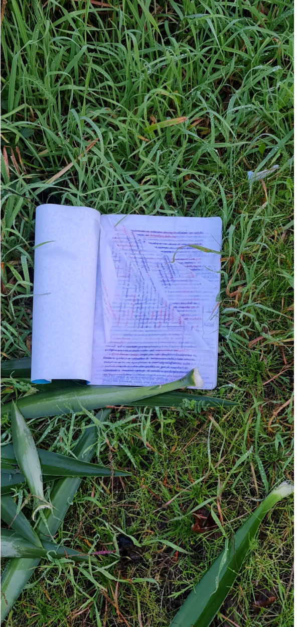 The Death Diary. Are you dead or alive? | by Rolando Andrade ...