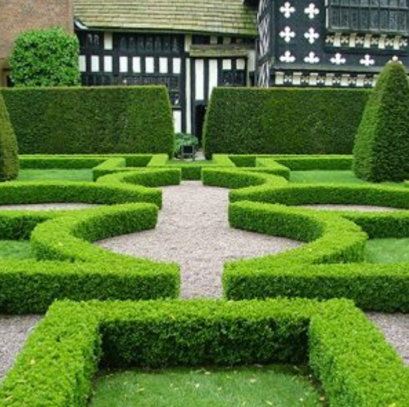 Knot Gardens Unveiled: A Journey in Garden Design | by Jennerbella ...