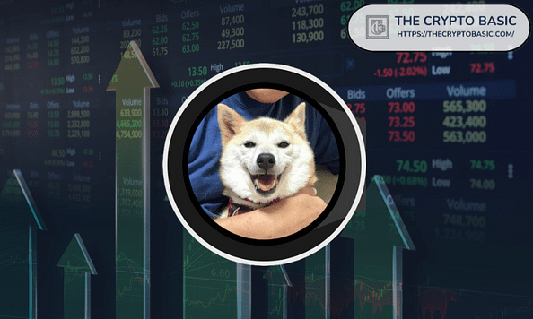 What Makes the Neiro Ethereum $NEIRO Airdrop a Must-Join? - $NEIRO ...