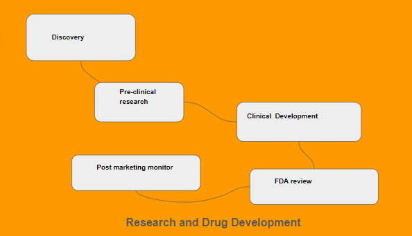 Research and Development phase in Life Science | by Anirban Saha | Medium