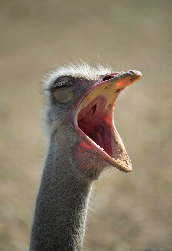 The key to not striking back. When you have every right to smack… | by ...